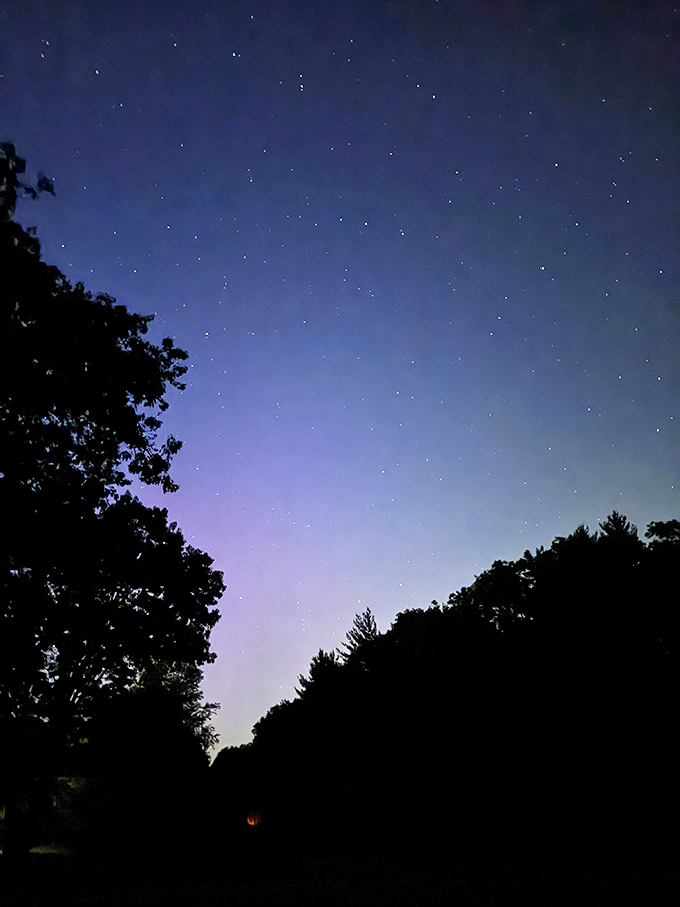 The night sky above Sand Ridge reveals stars city dwellers forget exist. Nature's planetarium show runs nightly, no tickets or reservations required.