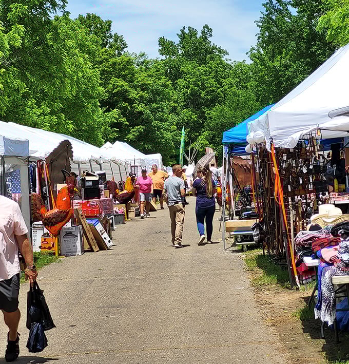The market's main thoroughfare buzzes with the energy of discovery. Shoppers stroll between white tents, each one a potential goldmine of unexpected treasures.