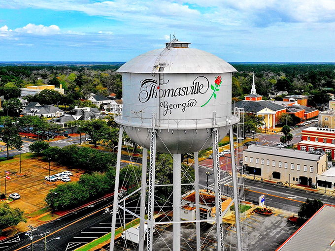 Thomasville's iconic water tower stands as both a practical utility and an artistic statement&mdash;the town's equivalent of a Facebook profile picture.