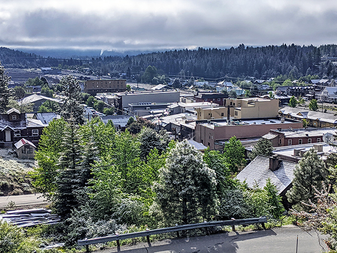 A bird's-eye view of Truckee reveals a patchwork of history, community, and Sierra beauty that keeps calling you back.