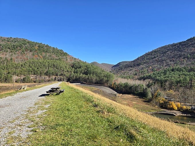 The view that makes you question why you ever complain about anything. Nature's panoramic reminder to stop doomscrolling and start trail scrolling.