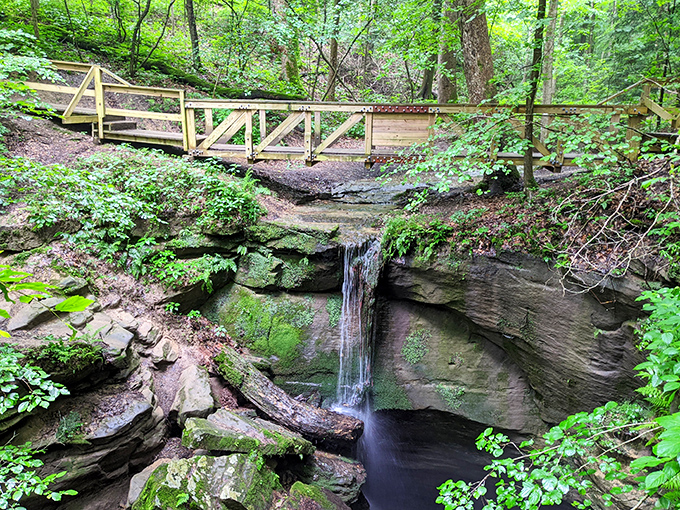 Little Lyons Falls creates nature's perfect soundtrack. The wooden bridge offers front-row seats to this perpetual performance of water meeting gravity.