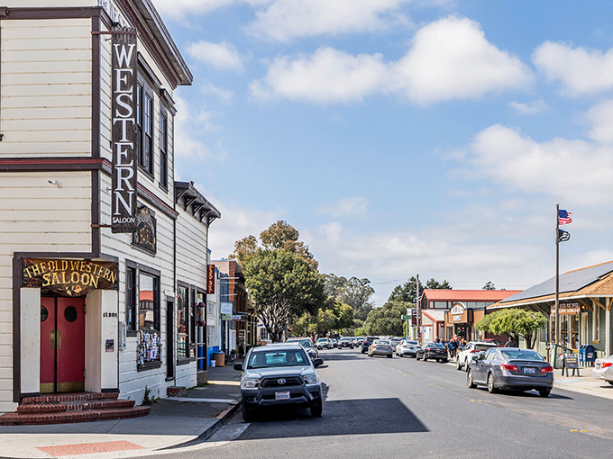 Point Reyes Station's main street maintains its rural character, a perfect gateway to the national seashore beyond.