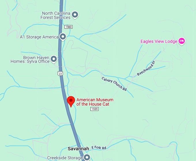 16. american museum of the house cat map