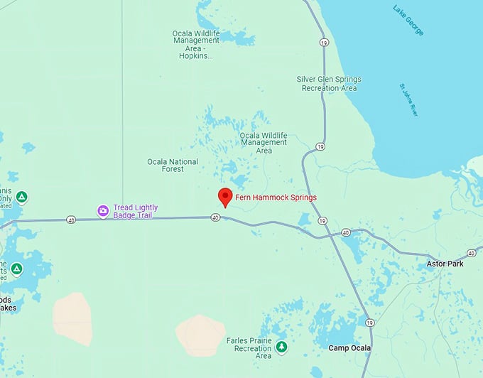 16. fern hammock springs map