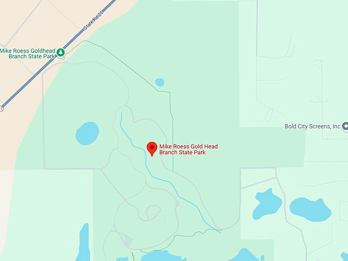 16. mike roess gold head branch state park map
