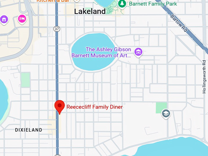 reececliff family diner map