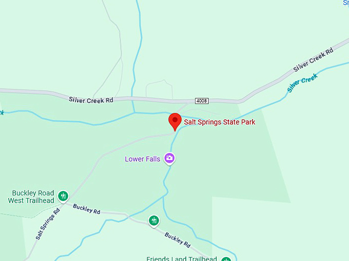 16. salt springs state park map