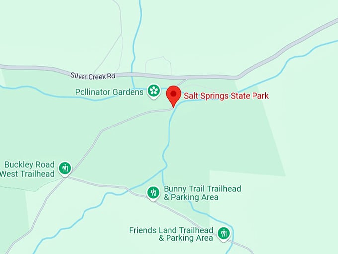 16. salt springs state park map