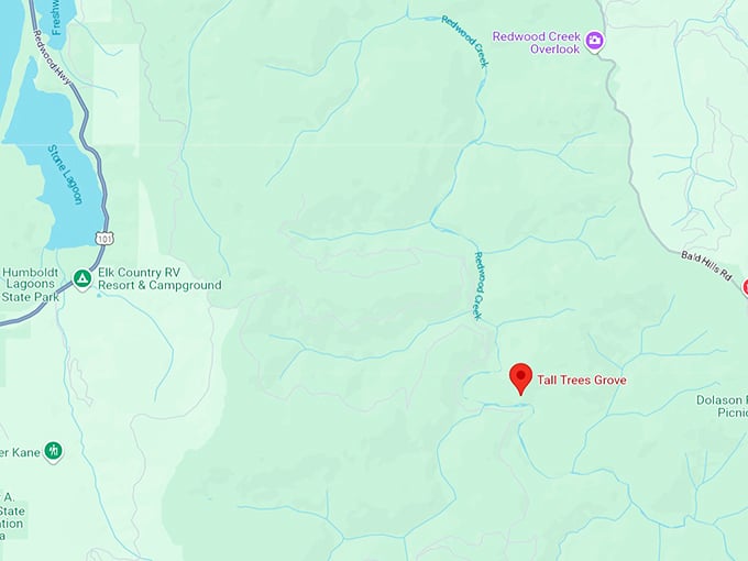 tall trees grove loop trail map