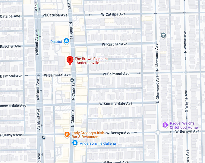 16. the brown elephant andersonville map