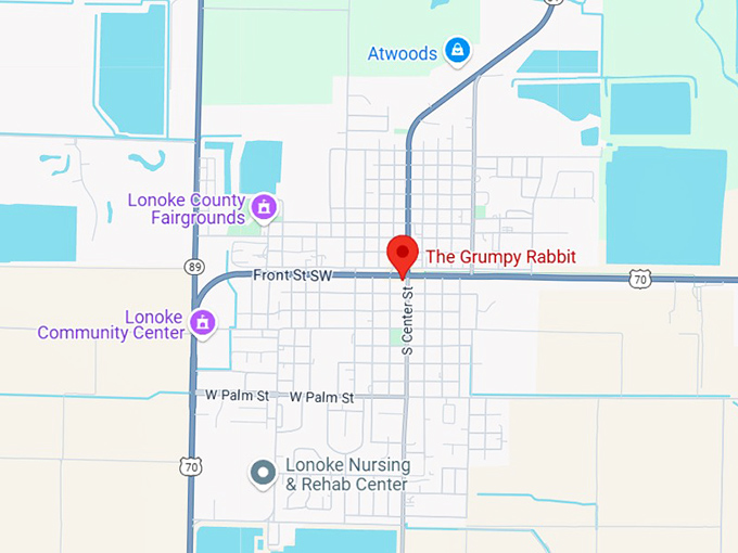 16. the grumpy rabbit map