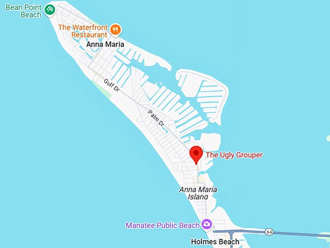 16. the ugly grouper map