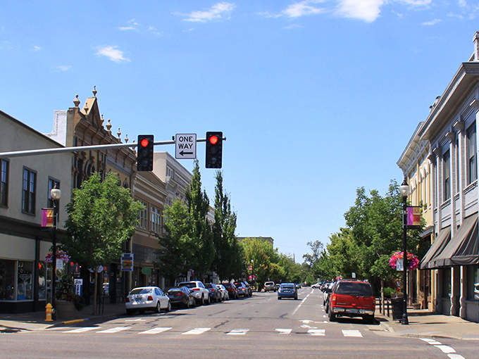 Albany's historic downtown looks like a postcard come to life - tree-lined streets and charming brick buildings invite leisurely afternoon strolls.