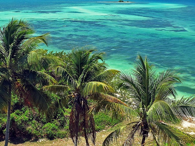 Paradise found! Bahia Honda's palm-fringed shores and crystal waters make you feel like you've stumbled into a Caribbean postcard.