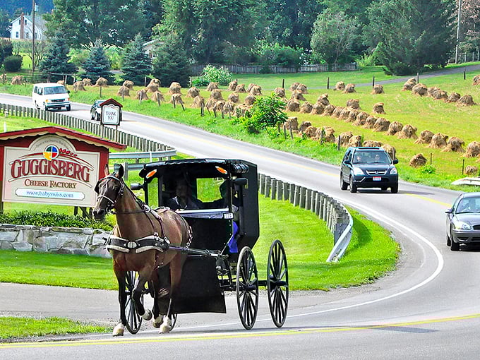 An Amish buggy rolls past Guggisberg Cheese Factory in Berlin. Modern life and tradition share the road in perfect harmony.