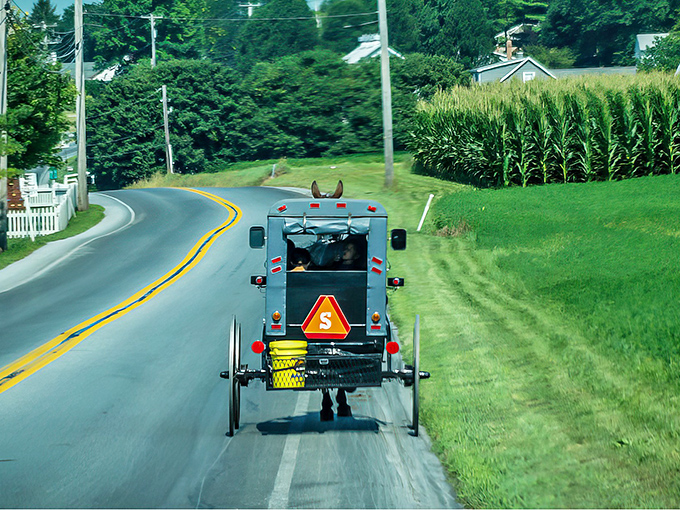 The classic Amish buggy &ndash; where the pace of life slows down but the flavors speed up! A glimpse into a world where food takes time and tastes better for it.