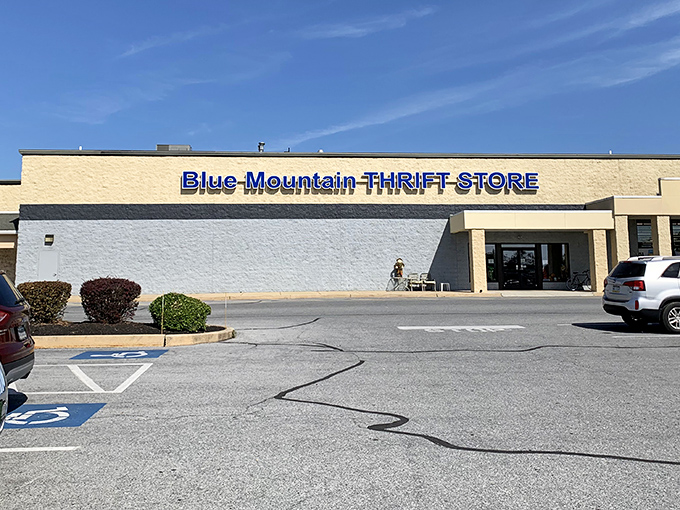 The blue sign beckons like a siren call to bargain hunters. This thrift paradise might just be where your next treasure awaits!