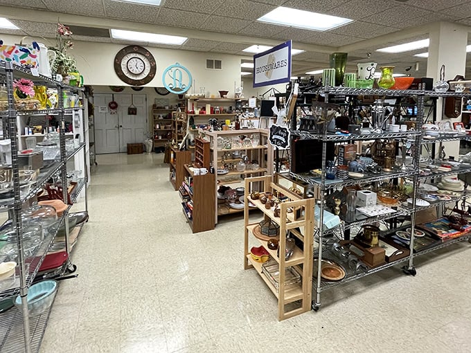Treasure hunter's paradise! Neatly organized shelves at Blues City Thrift create the perfect backdrop for discovering that one-of-a-kind vintage clock.