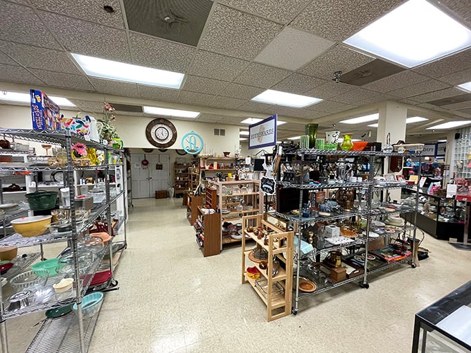 Treasure hunter's paradise! Neatly organized shelves at Blues City Thrift Store beckon with vintage kitchenware and quirky finds waiting to be discovered.