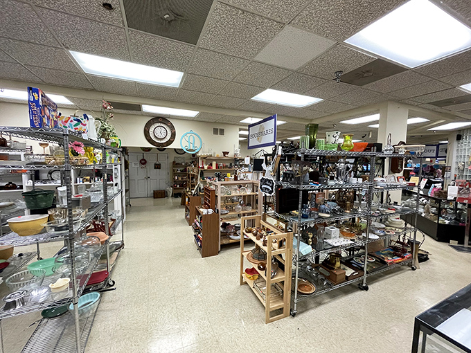 Treasure hunter's paradise! Metal shelving units create a maze of possibilities where vintage kitchenware awaits its second chance at culinary stardom.