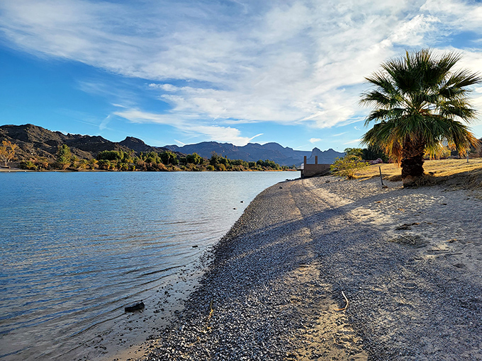 Where desert meets water! The Colorado River creates a perfect oasis against Buckskin Mountain's rugged backdrop.