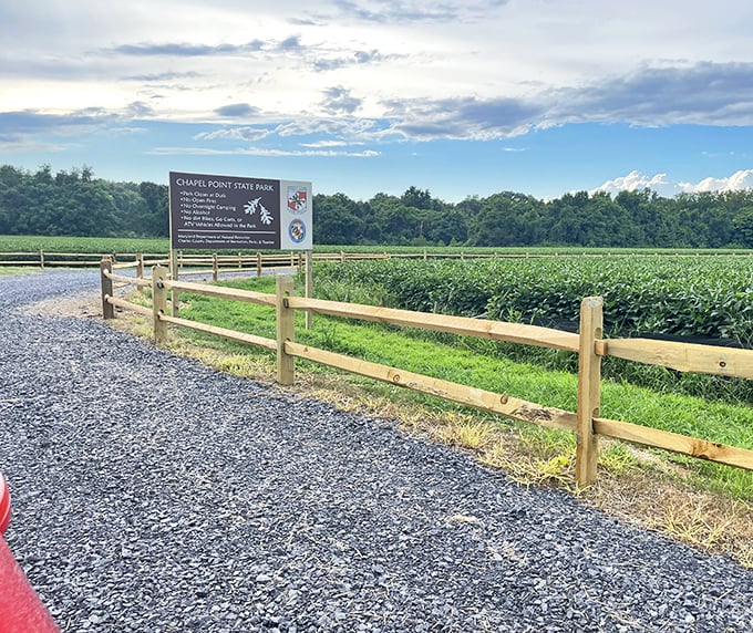 The entrance to Chapel Point State Park beckons with promise &ndash; where cornfields and adventure meet under Maryland's big sky.