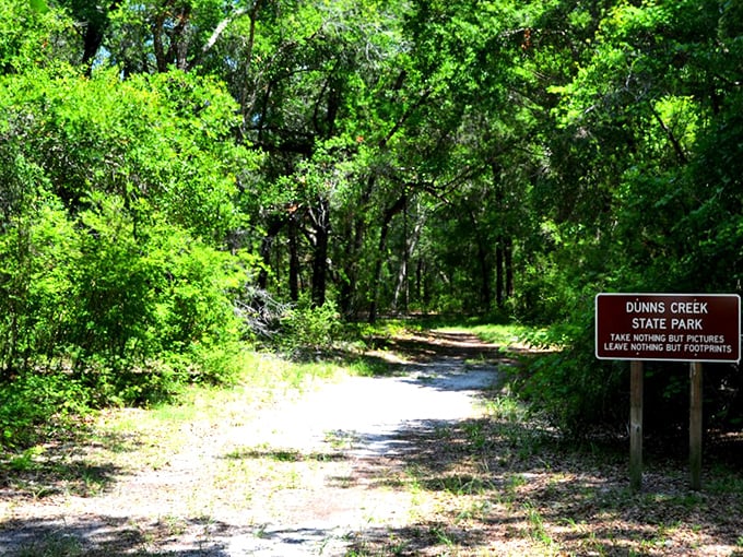 The inviting trail at Dunns Creek State Park beckons like nature's red carpet. Leave nothing but footprints, take nothing but pictures!