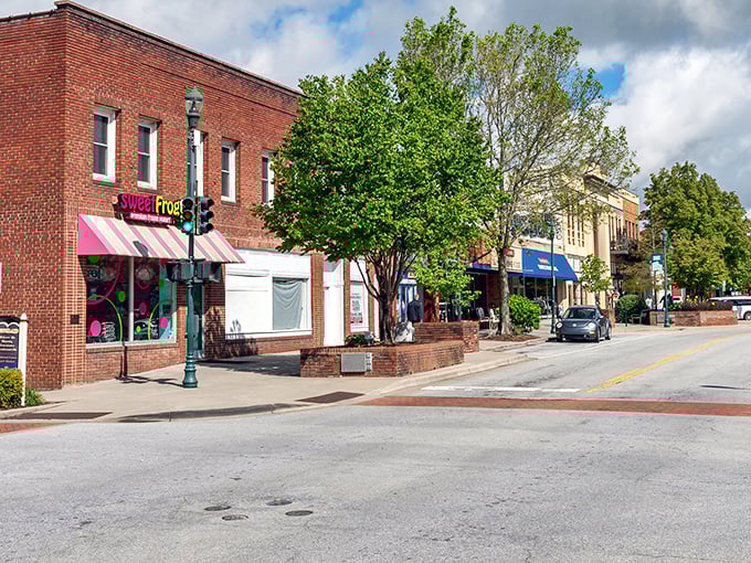 Hendersonville's Main Street beckons with colorful storefronts and brick sidewalks. Small-town charm with big personality!