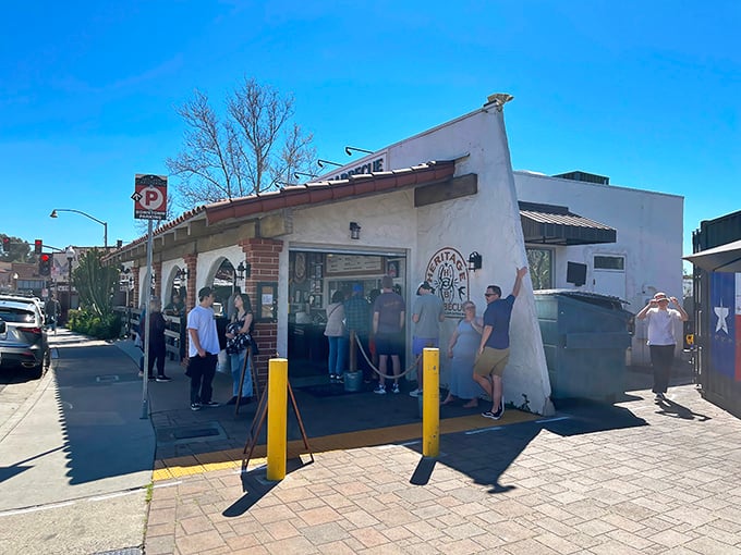 From above, Ferndale resembles a perfectly preserved Victorian village nestled between emerald hills and endless possibilities.