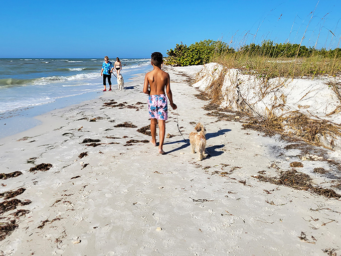 Pure joy captured: when your furry friend discovers their own slice of beach paradise in Dunedin. 
