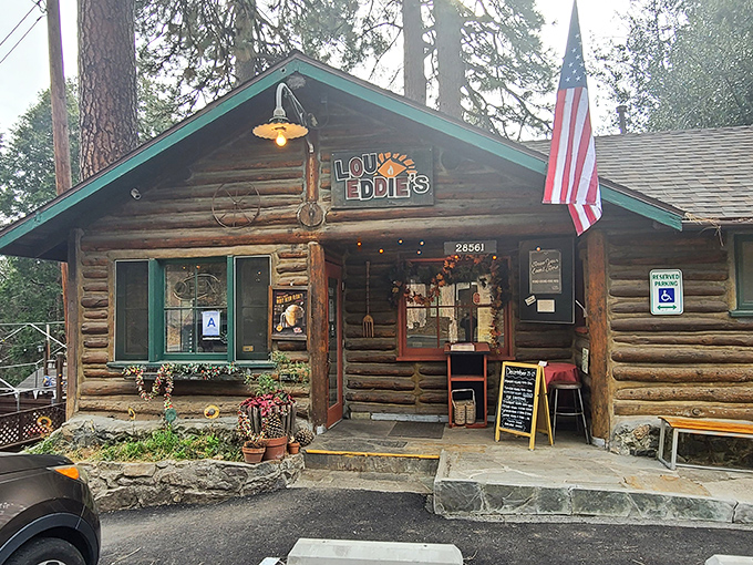 LouEddie's rustic log cabin pizzeria looks like it belongs in a fairy tale – the kind where Hansel and Gretel discover pizza instead of candy.