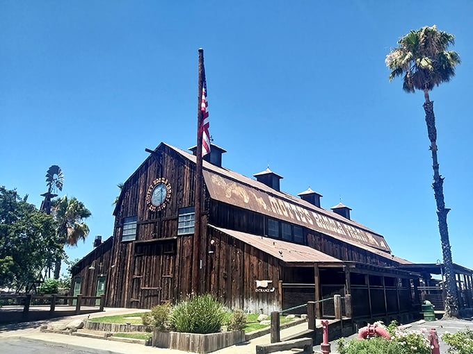 The Motte Historical Car Museum's weathered barn exterior tells stories before you even step inside. California sunshine and automotive history in perfect harmony!