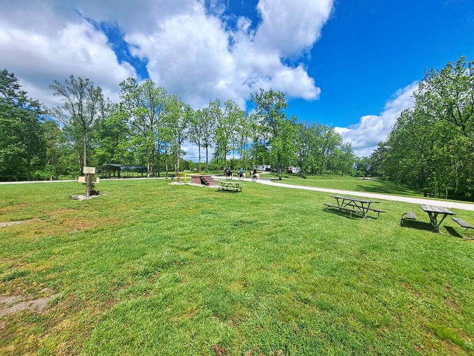 Salt Fork State Park: "Picnic paradise! Where Ohio's blue skies meet emerald lawns, creating the perfect backdrop for sandwiches and daydreams."
