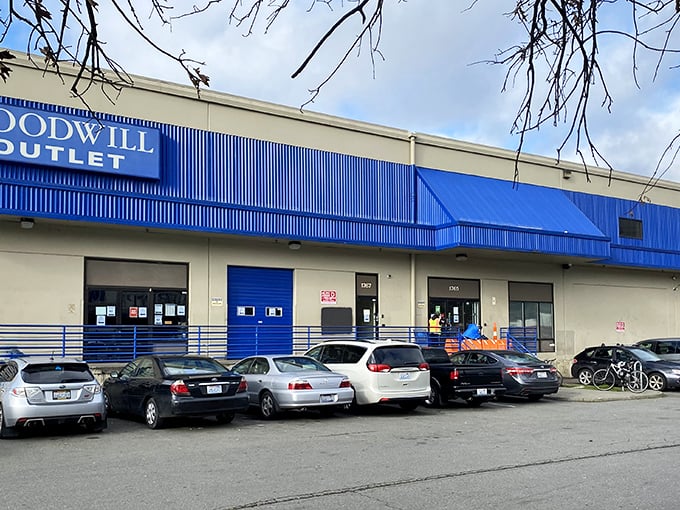 Goodwill's blue-fronted Seattle Outlet - where treasure hunters dive into bins like Olympic swimmers going for gold!