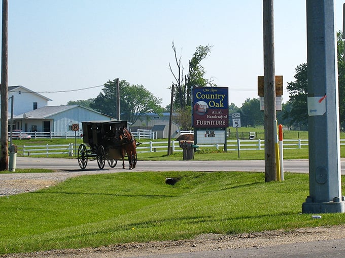 Horse and buggy passing Country Oak Furniture &ndash; where craftsmanship moves at the perfect pace, no rush hour required!
