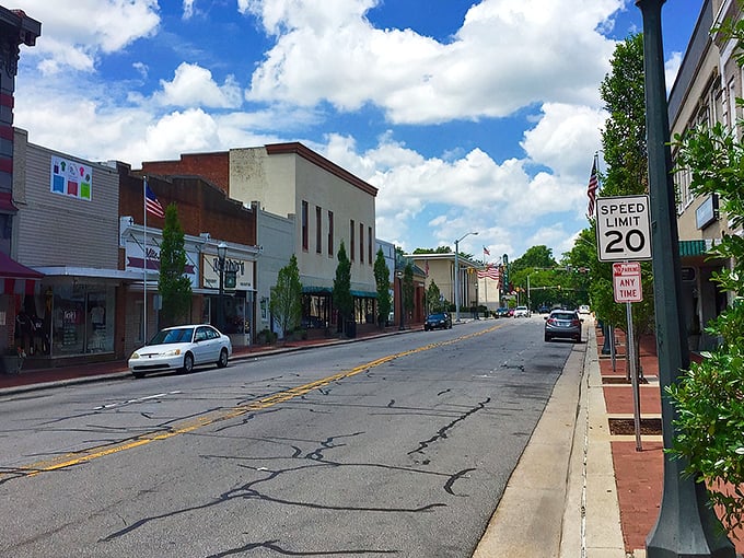 Tarboro's Main Street whispers stories from another century while your wallet stays firmly in the present.