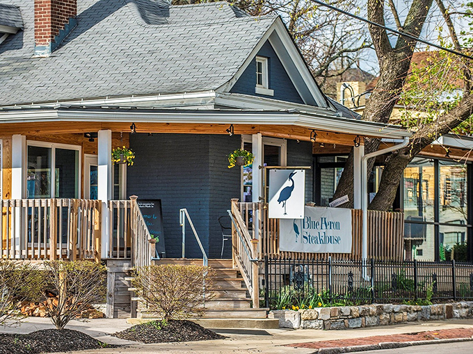 That blue heron knows something we don't - probably where they hide the best steaks in Lexington. 