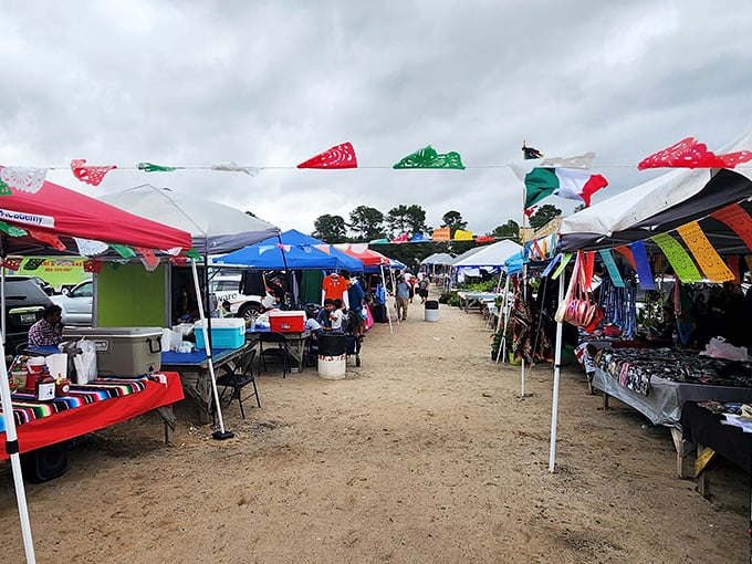 Colorful flags flutter above a bustling aisle at US 1 Metro Flea Market, where treasure hunting becomes an Olympic sport.