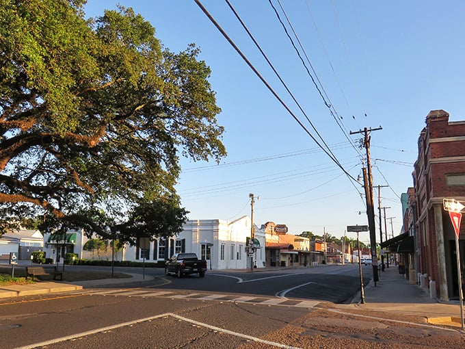 Towering oak trees frame Abbeville's quiet streets. The kind of place where your blood pressure drops the moment you arrive.