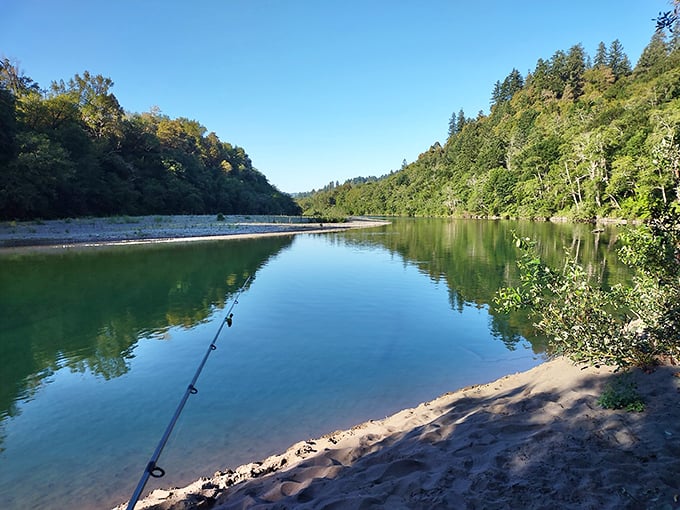 Crystal waters flow over ancient stones like liquid diamonds in Oregon's coastal paradise.