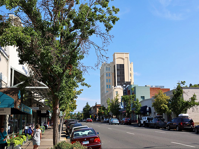 Ashland's main street offers small-town magic with big-city culture. Those colorful banners hint at the artistic spirit flowing through this affordable gem.