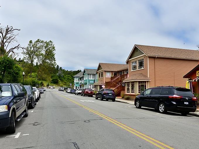 Main Street magic! Cambria's shops line up like friendly neighbors at a block party, each with its own personality.