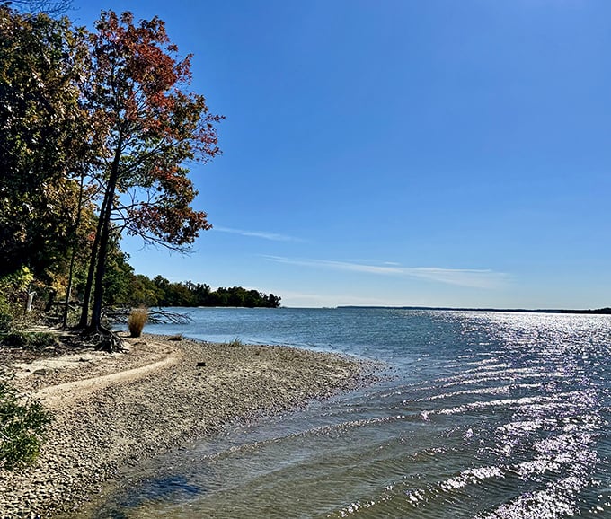 Nature's front-row seat! Chapel Point's shoreline shimmers like diamonds scattered across the Port Tobacco River.