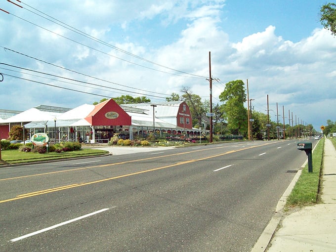 Red barn charm meets garden center heaven along this bustling roadway - where Jersey's green thumb comes alive.