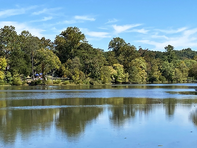 Reflections so perfect you'll wonder which way is up! Cove Lake's mirror-like surface captures Tennessee's beauty twice.