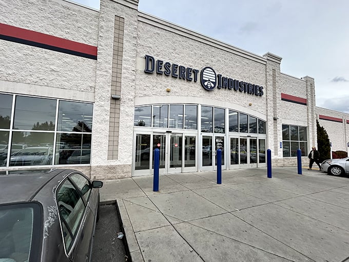 Shopping carts await their next adventure at this thrift mecca where one person's castoffs become another's prized possessions.