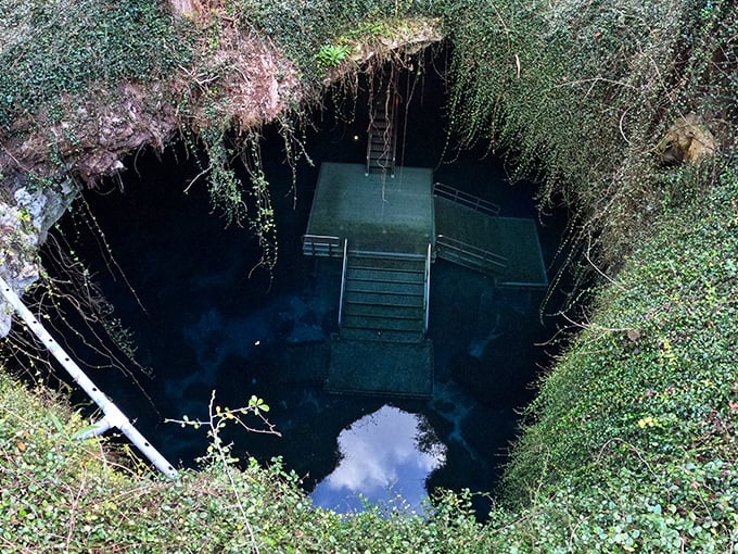 A secret stairway to an aquatic wonderland! This sinkhole spring looks like it was designed by nature's own special effects team.