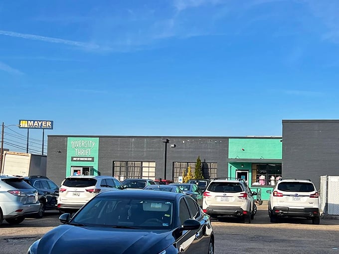 Gray meets green in perfect harmony, like finding designer jeans next to vintage band tees.