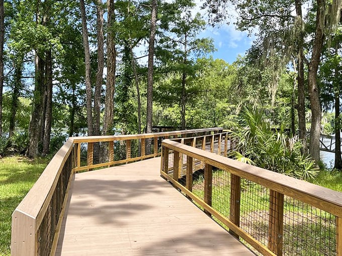 Nature's boardwalk through paradise! This wooden path at Dunns Creek offers front-row seats to Florida's wild side.